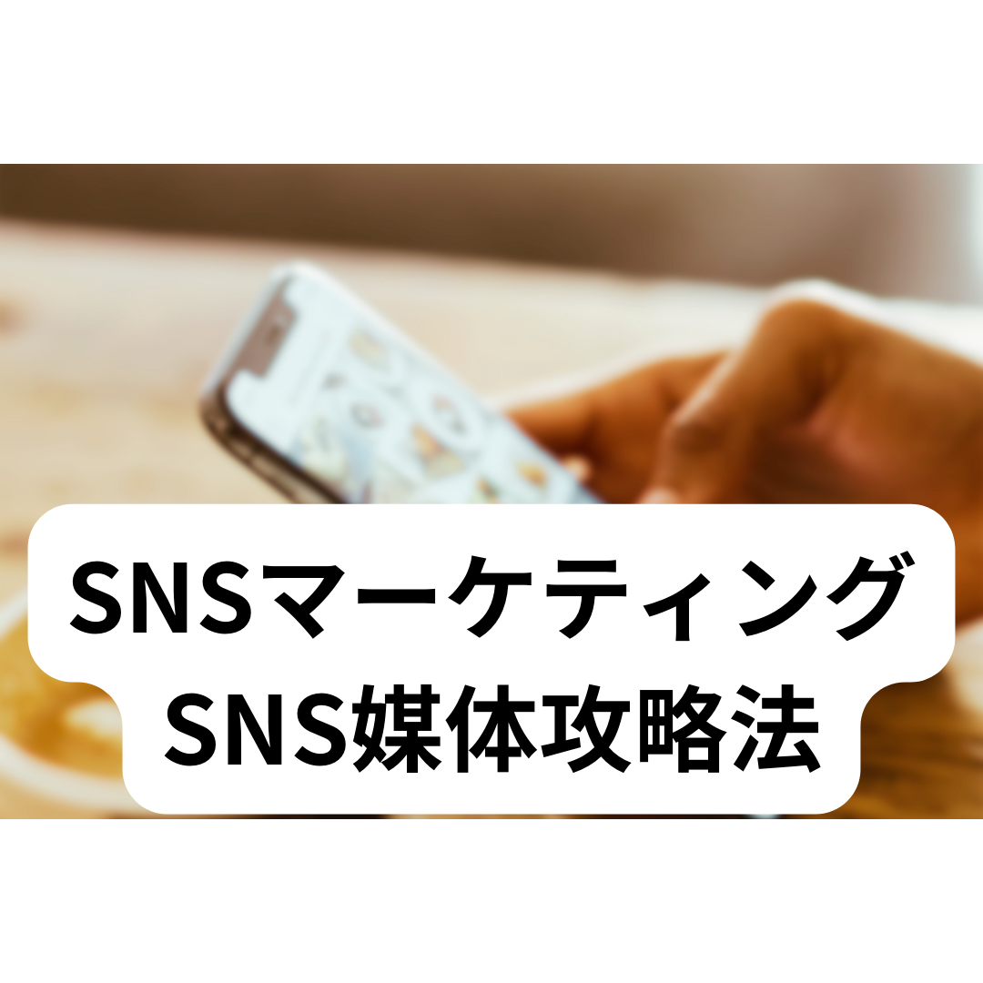 SNSマーケティングで使えるSNS媒体の攻略法 | マーケティングプランナー